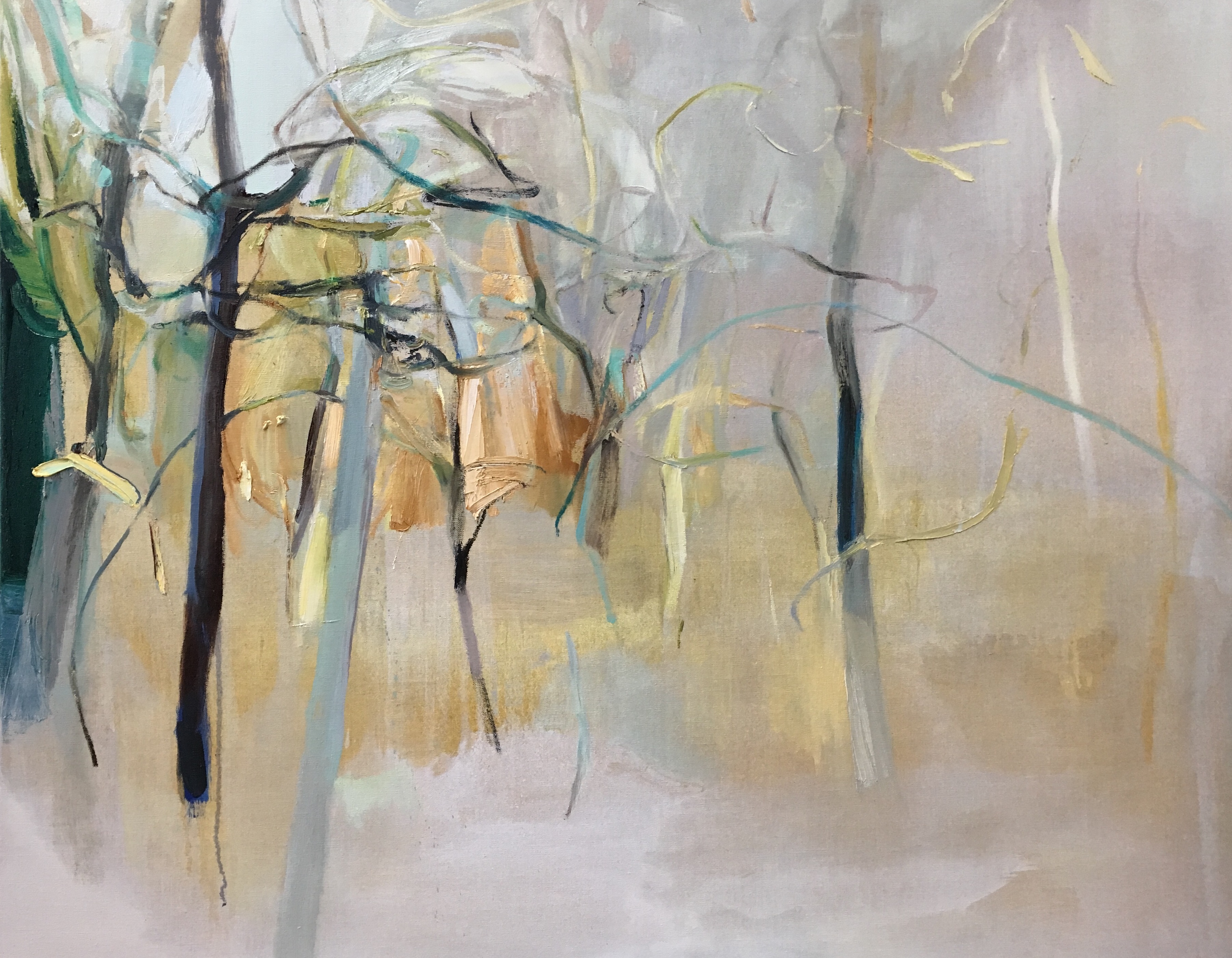 Beth Fletcher